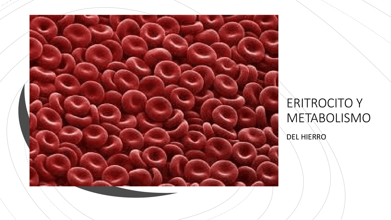 Bioquímicaefawfq3wfqarf | Apuntes de Química | Docsity