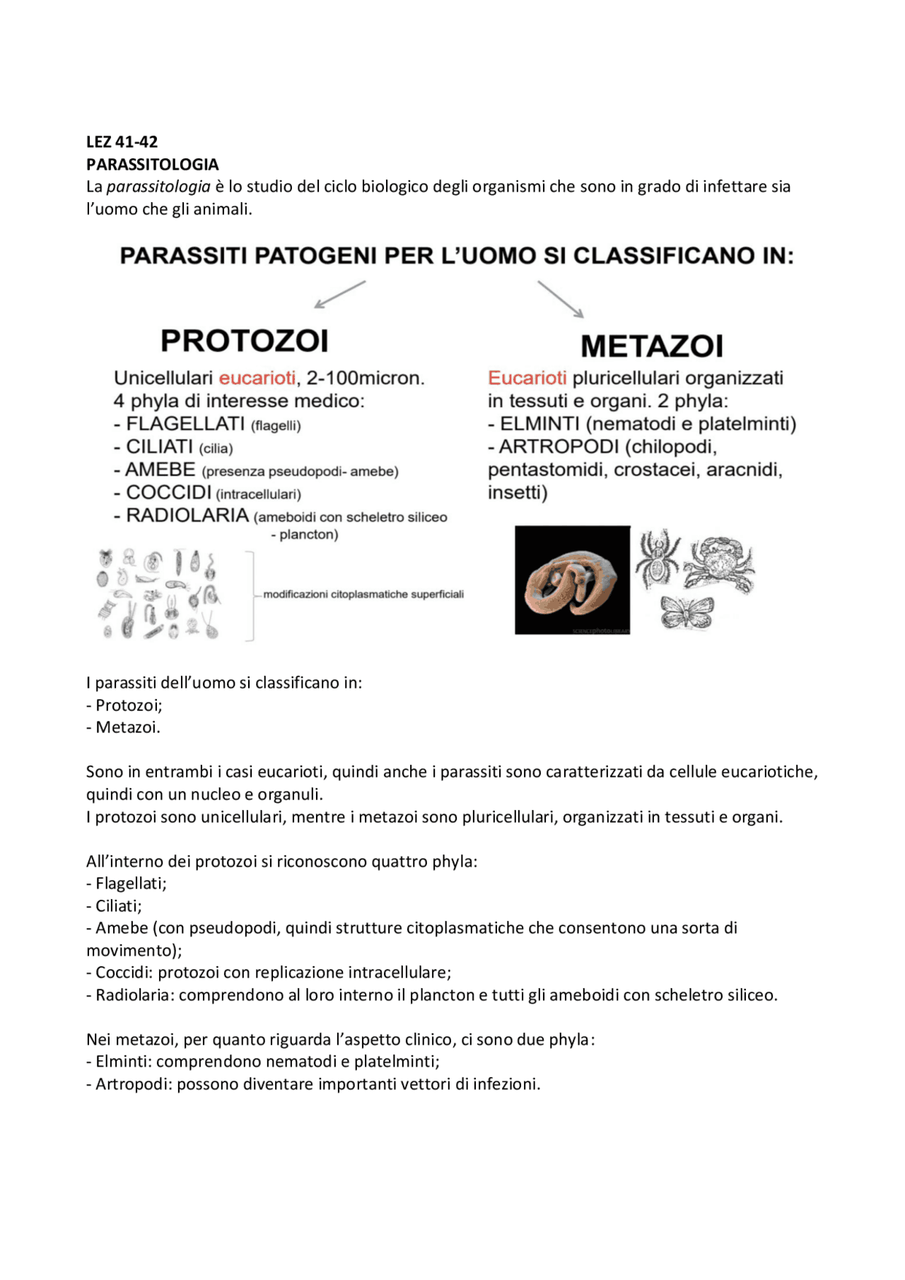Distinzione Tra Protozoi E Miceti Appunti Di Microbiologia Docsity