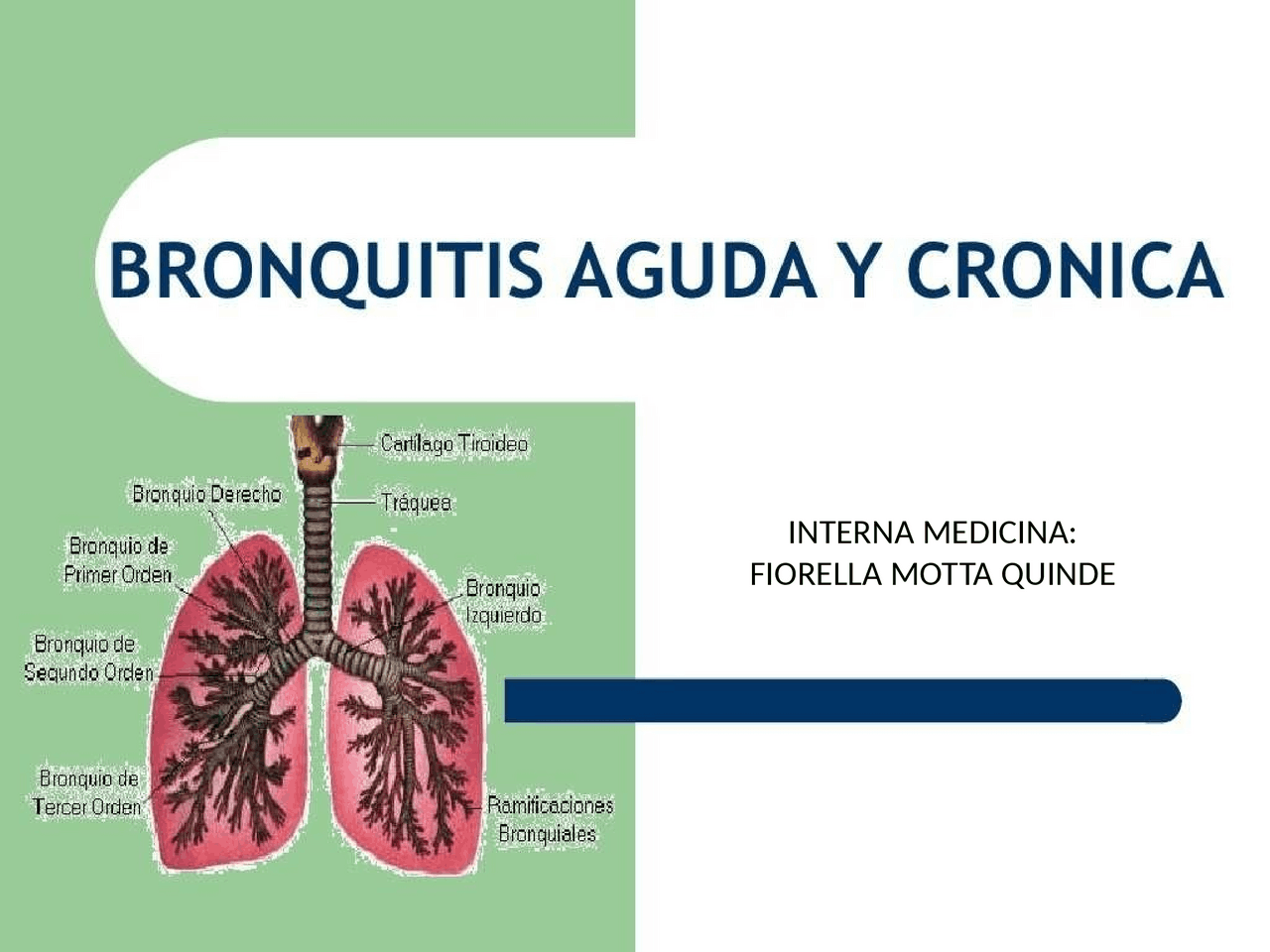 Bronquitis aguda y crónica definición, diagnóstico y tratamiento ...