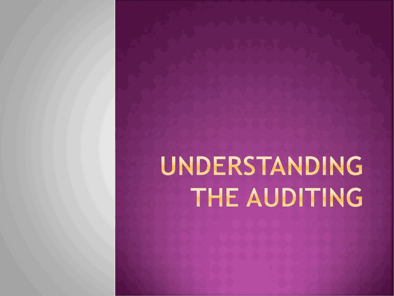 The Concept and Principles of Auditing | Study notes Auditing | Docsity