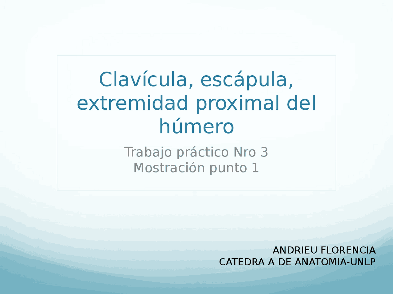 Anatomia De Sistemas Resúmenes De Anatomía Docsity