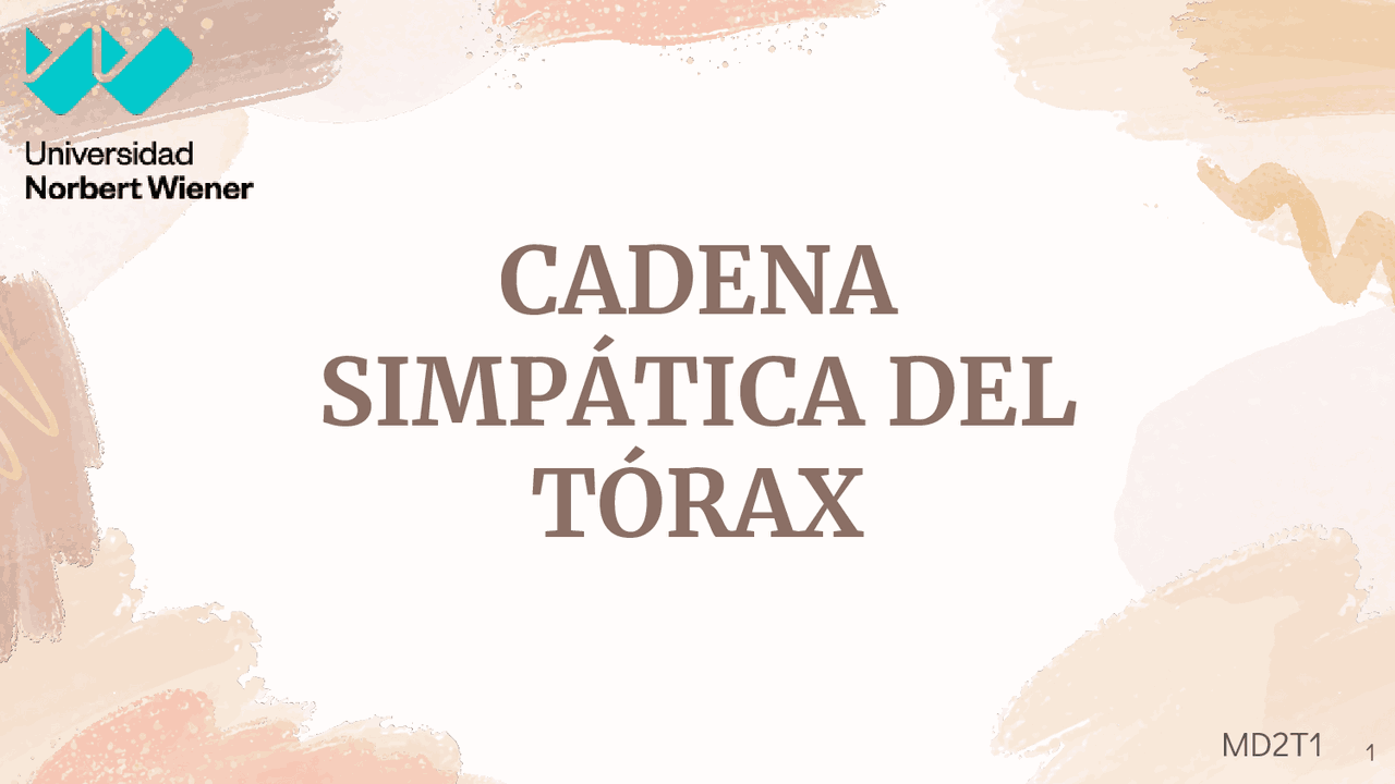 Resúmenes De Clases De Anatomía Diapositivas De Medicina Docsity