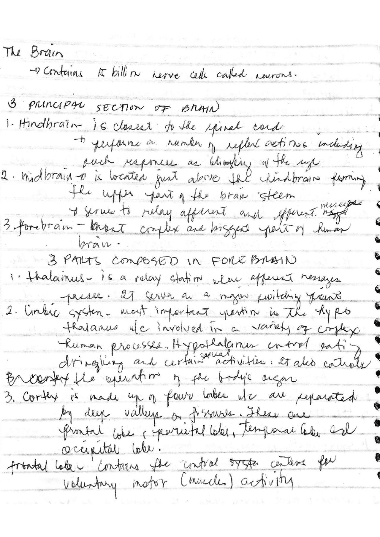 Socsci 1 The Brain Notes Lecture Notes Social Sciences Docsity