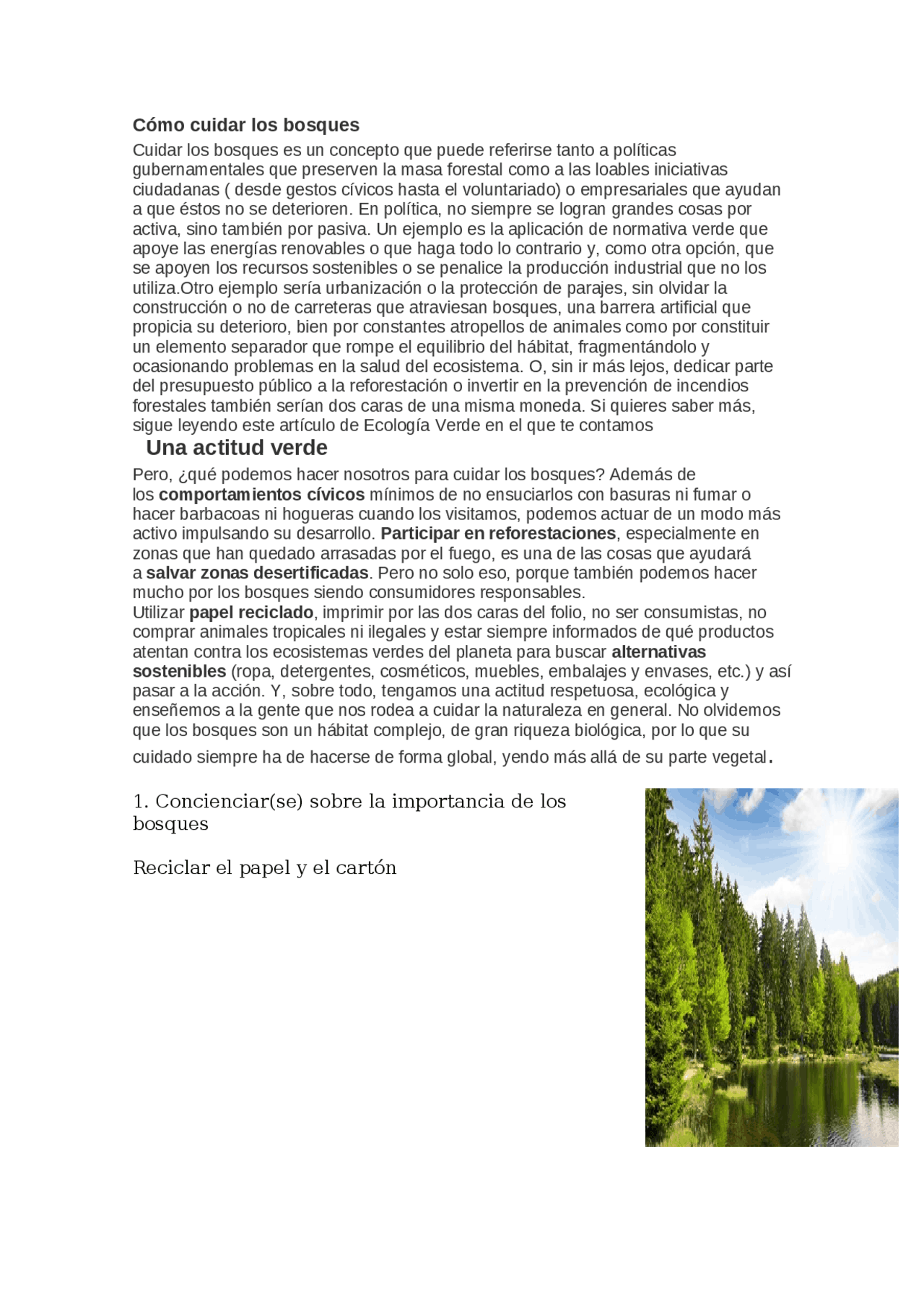 Los Bosques Tropicales Resúmenes De Ecología Y Medio Ambiente Docsity