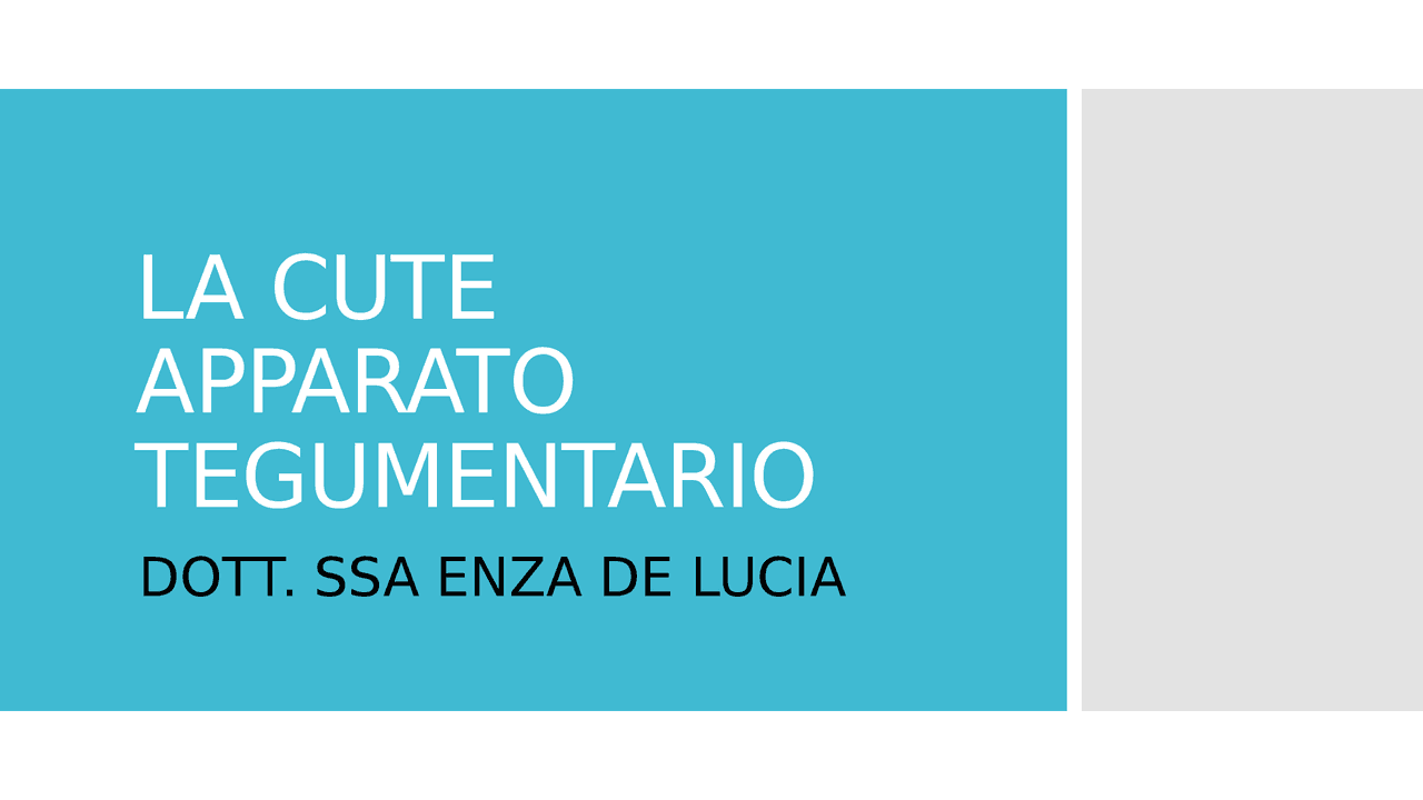 La cute e i vari strati dell'epidermide | Schemi e mappe concettuali di ...