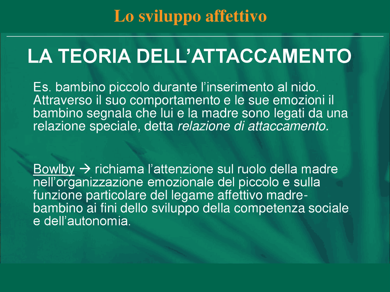 Psicología Dello Sviluppo Affettivo Schemi E Mappe Concettuali Di