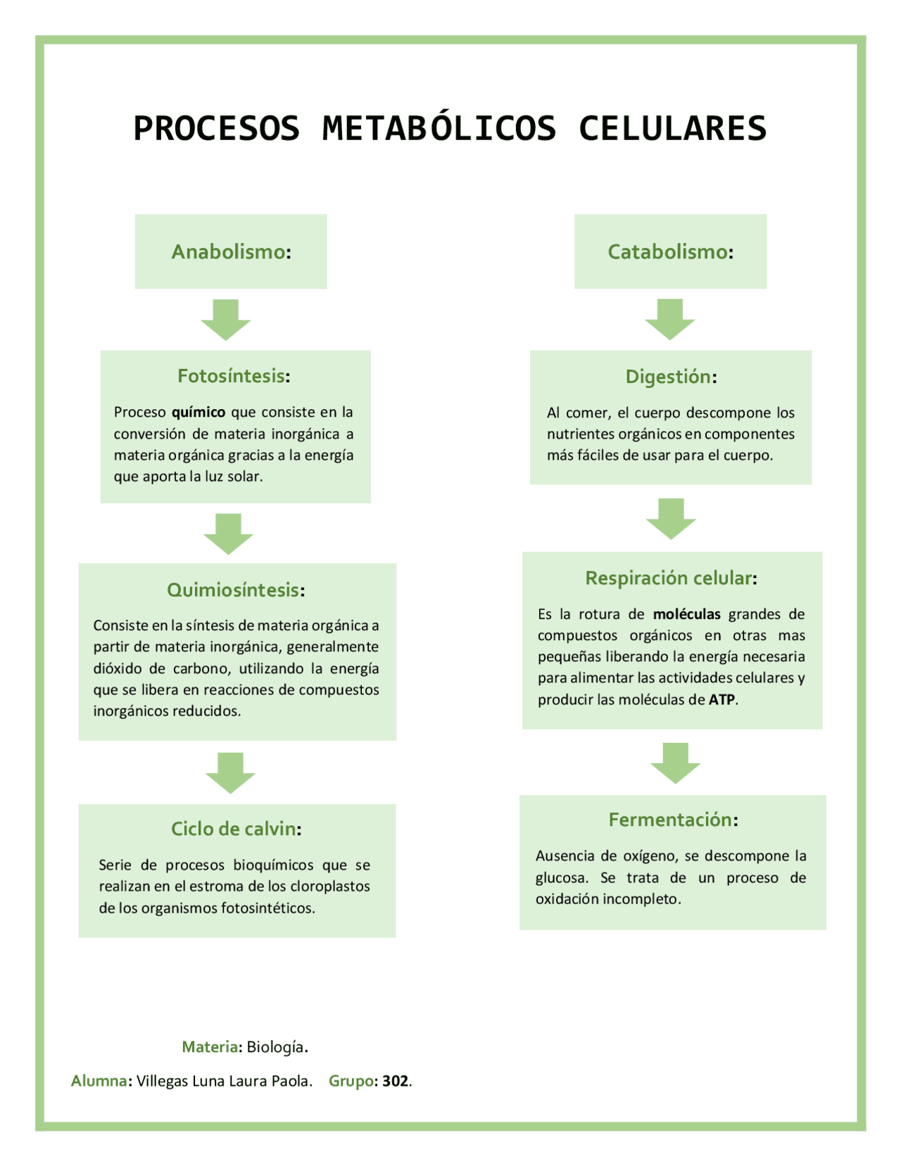 Diagrama de flujo: Procesos metabólicos celulares. | Esquemas y mapas ...