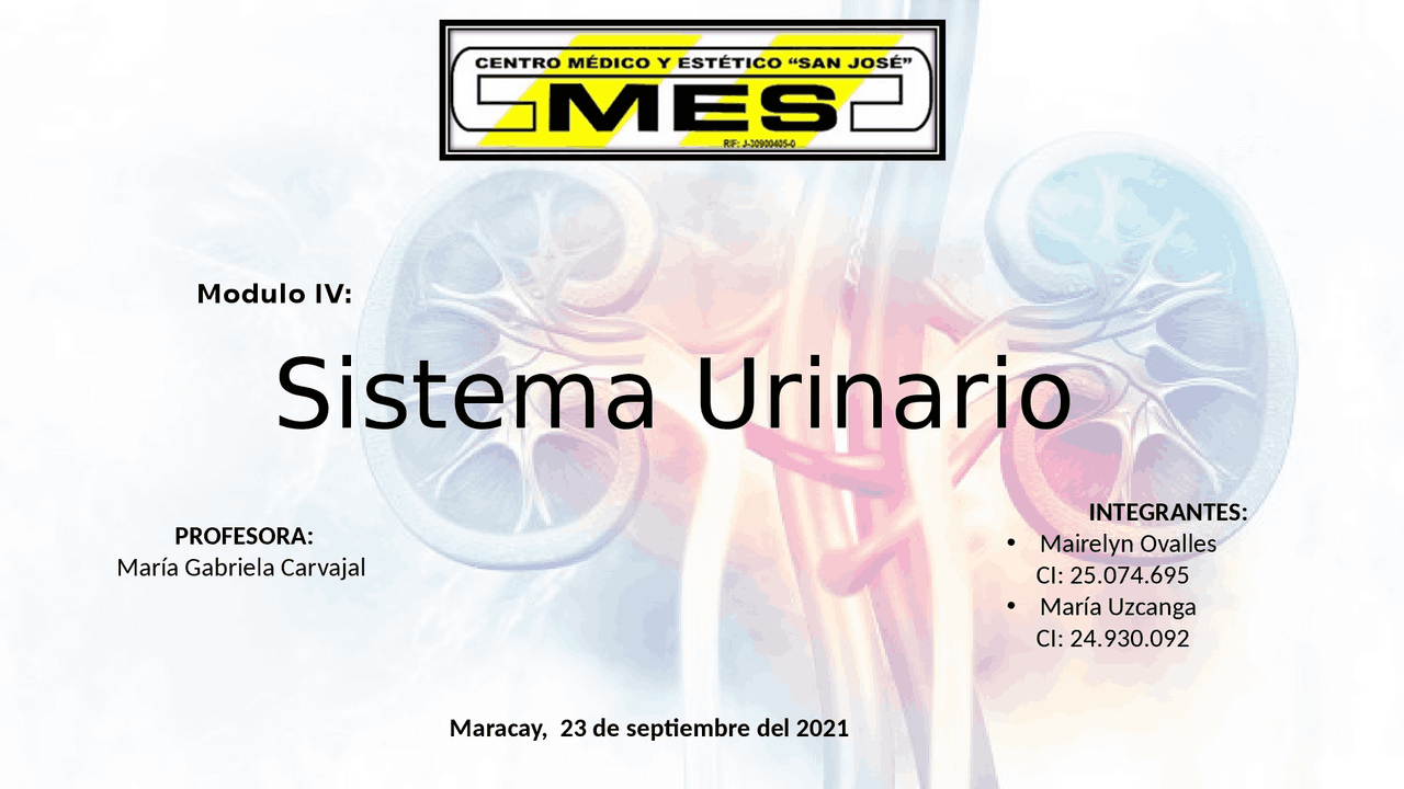 Sistema urinario san jose | Esquemas y mapas conceptuales de Anatomía | Docsity