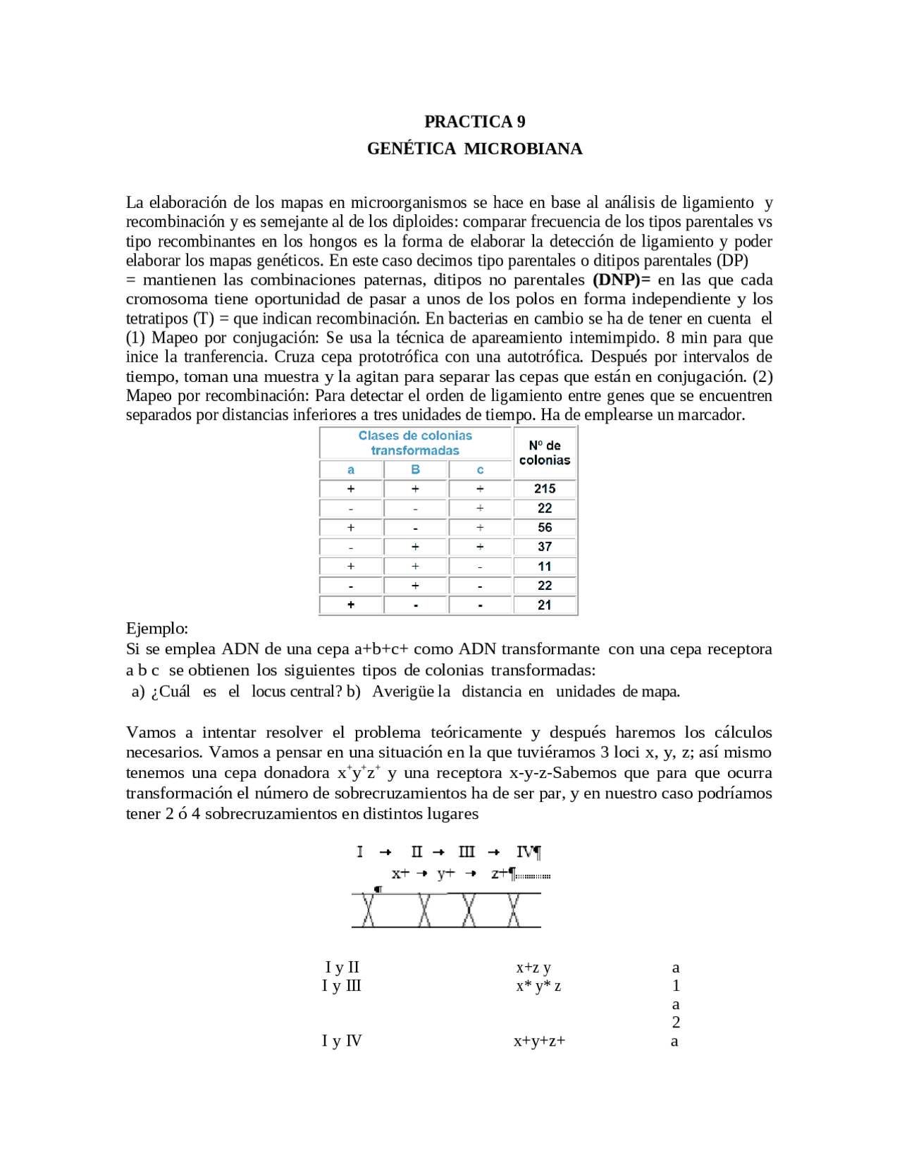 Ejercicios De Genetica Ejercicios De Biología Docsity