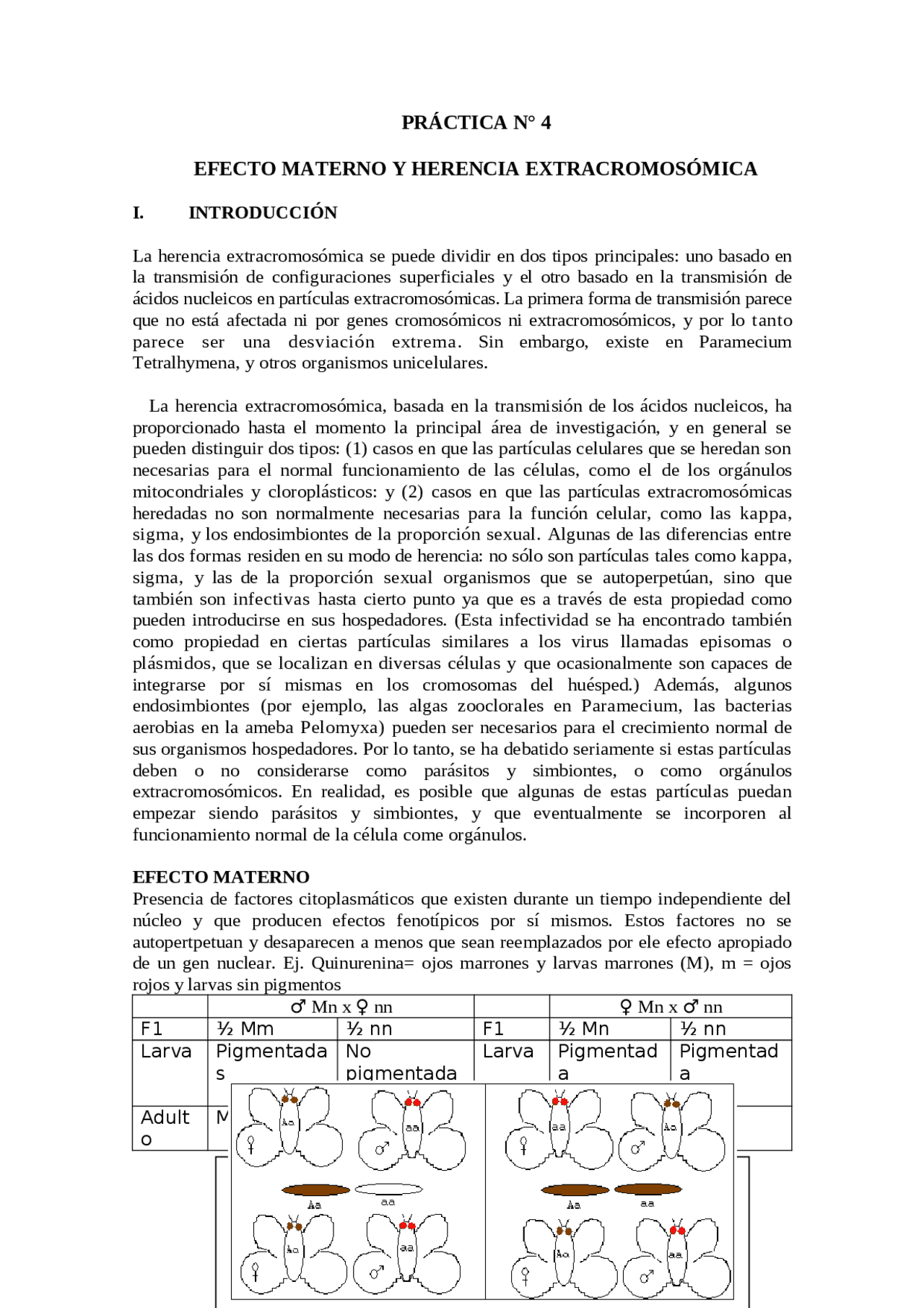Ejercicios De Genetica Ejercicios De Biología Docsity