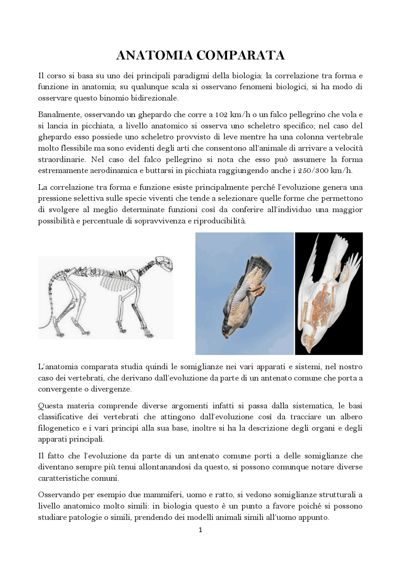 Anatomia comparata parte 1 | Dispense di Anatomia e Fisiologia Animale ...