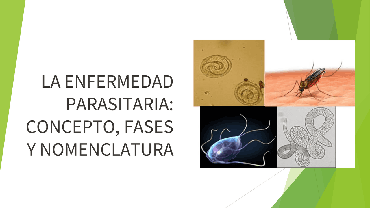 La enfermedad parasitaria | Esquemas y mapas conceptuales de ...