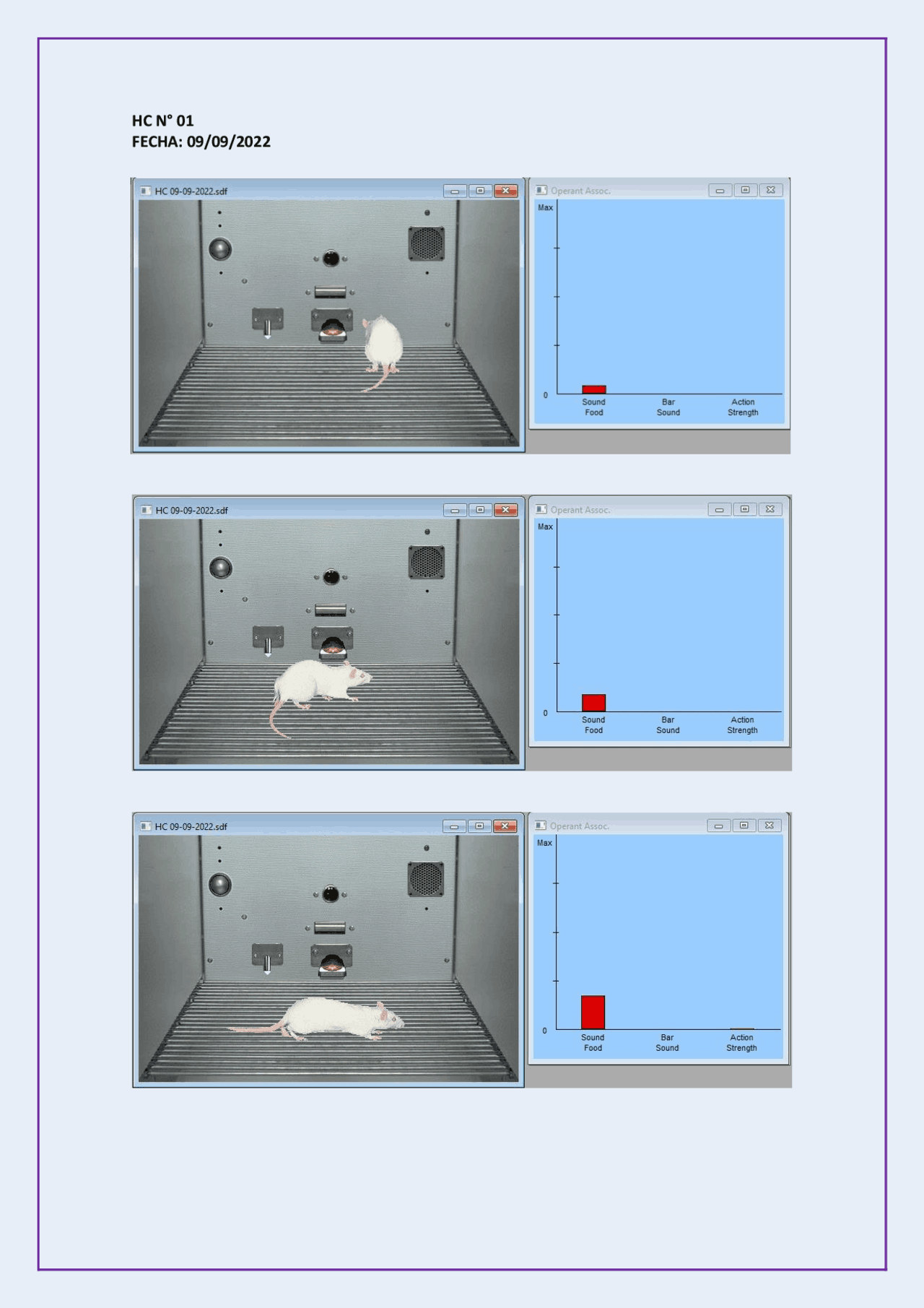 Experimento Sniffy HC | Ejercicios de Psicología Experimental | Docsity