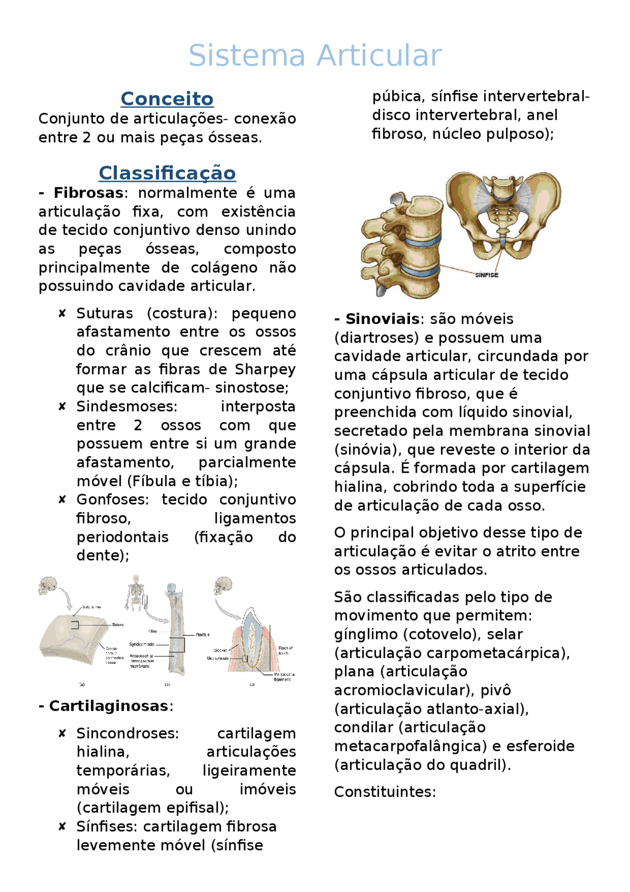 Resumo Sistema Articular Anatomia Humana Resumos Anatomia Docsity