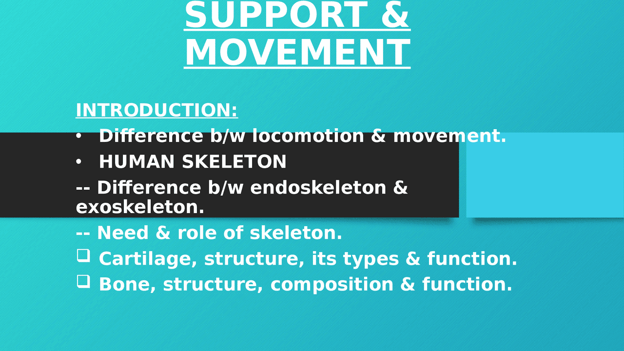 Support and Movements in Human Body ( Role of skeleton, bones) | Slides ...