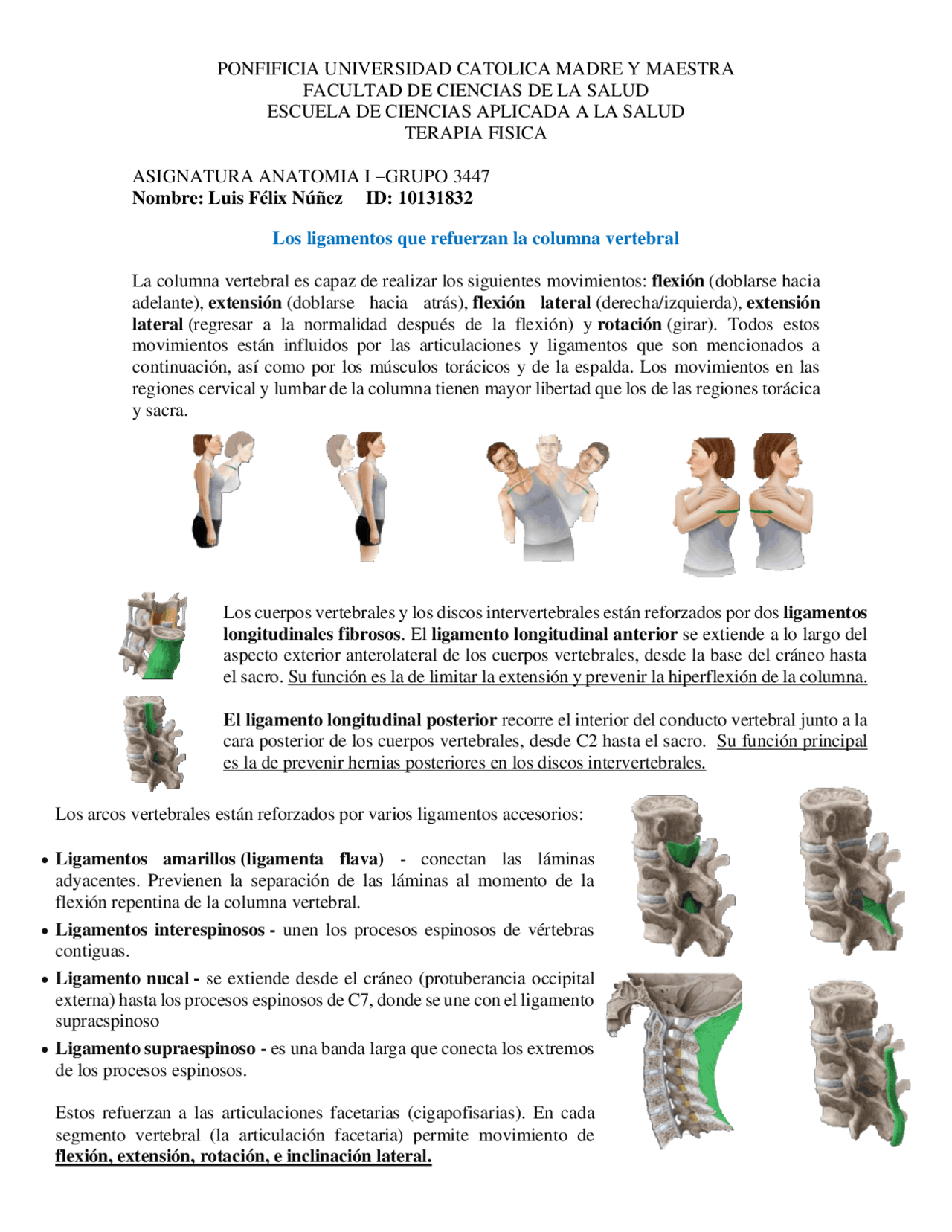 Ligamentos de la columna vertebral | Esquemas y mapas conceptuales de ...