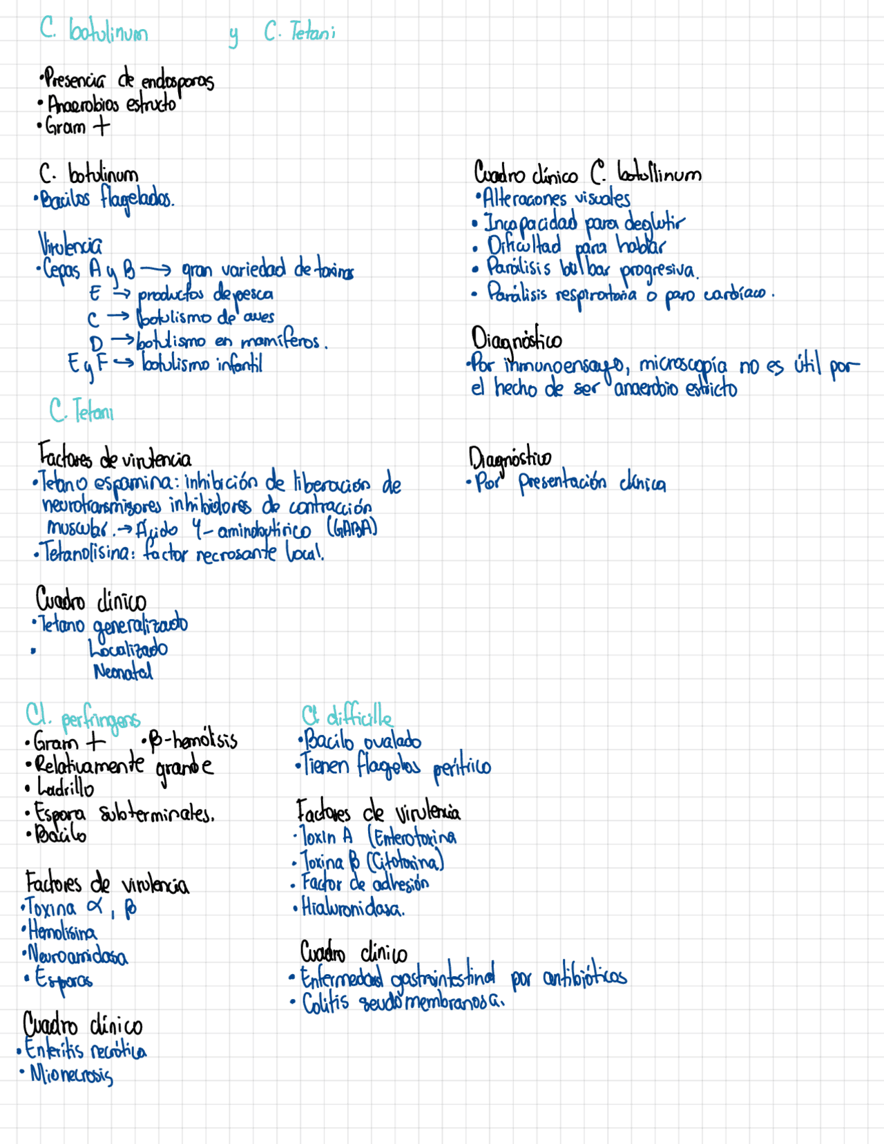 Microbiología Bacteria Clostridium Apuntes De Microbiología Docsity