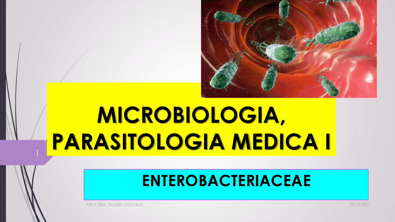 MicrobiologÍa MÉdica Diapositivas De Biología Docsity