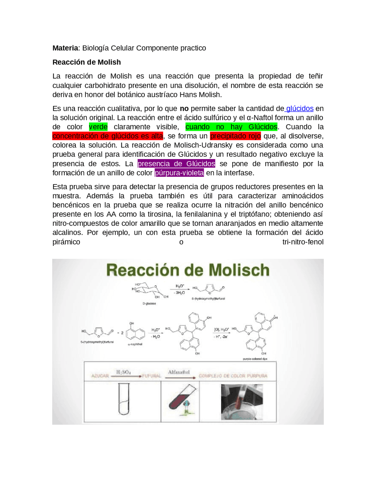 Resumen de Molish y Braun | Apuntes de Medicina | Docsity