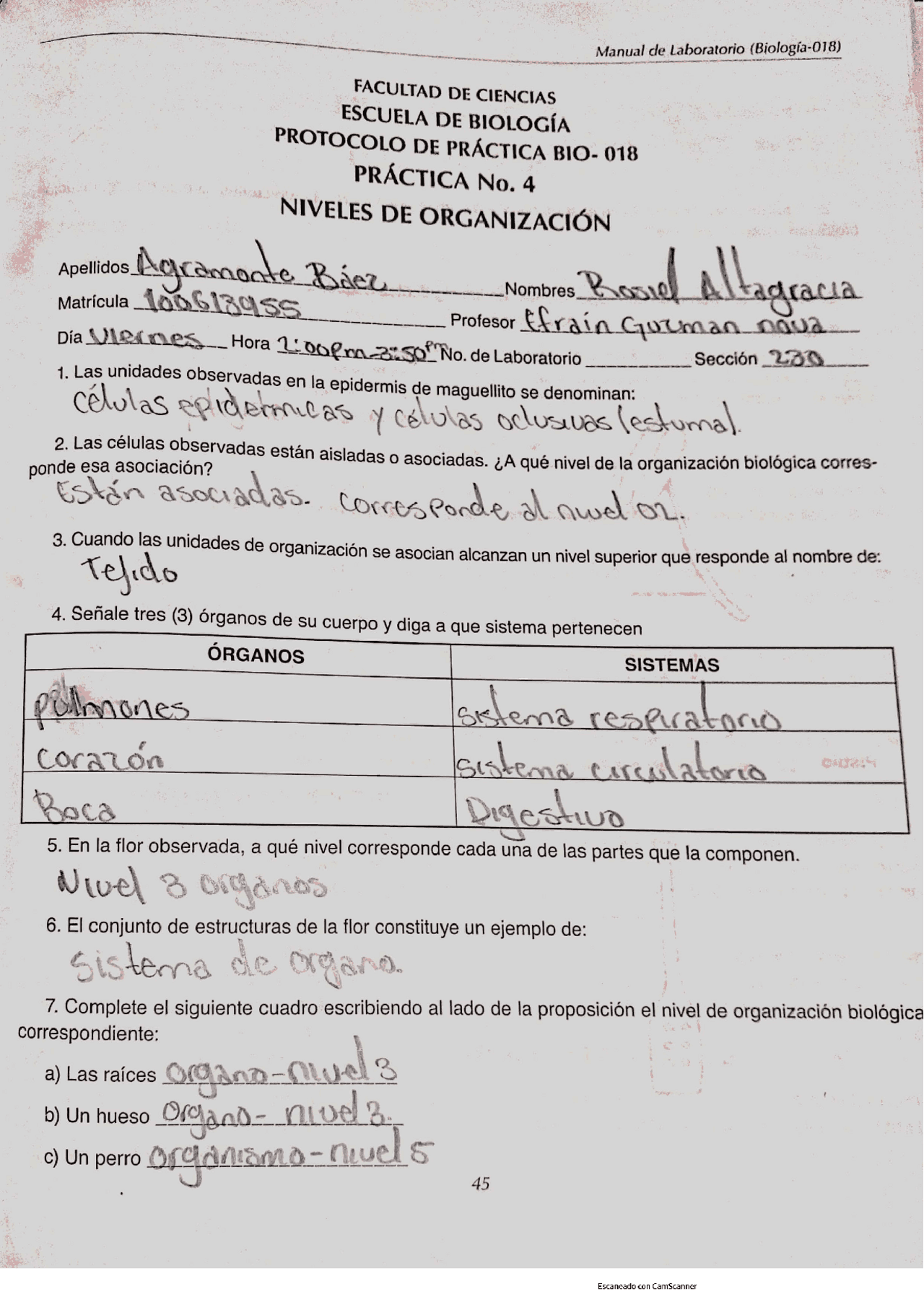 Biológia Práctica 01 Ejercicios De Biología Docsity