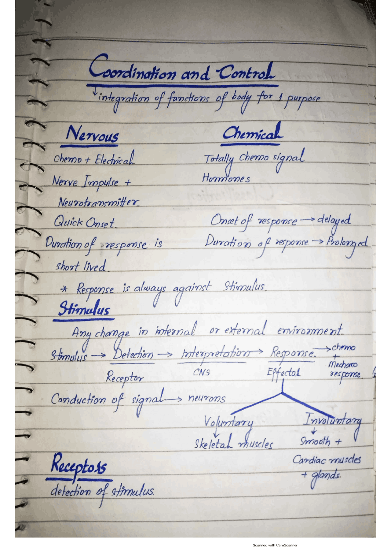 Coordination and Control ( Role of Brain and spinal cord in humans ...