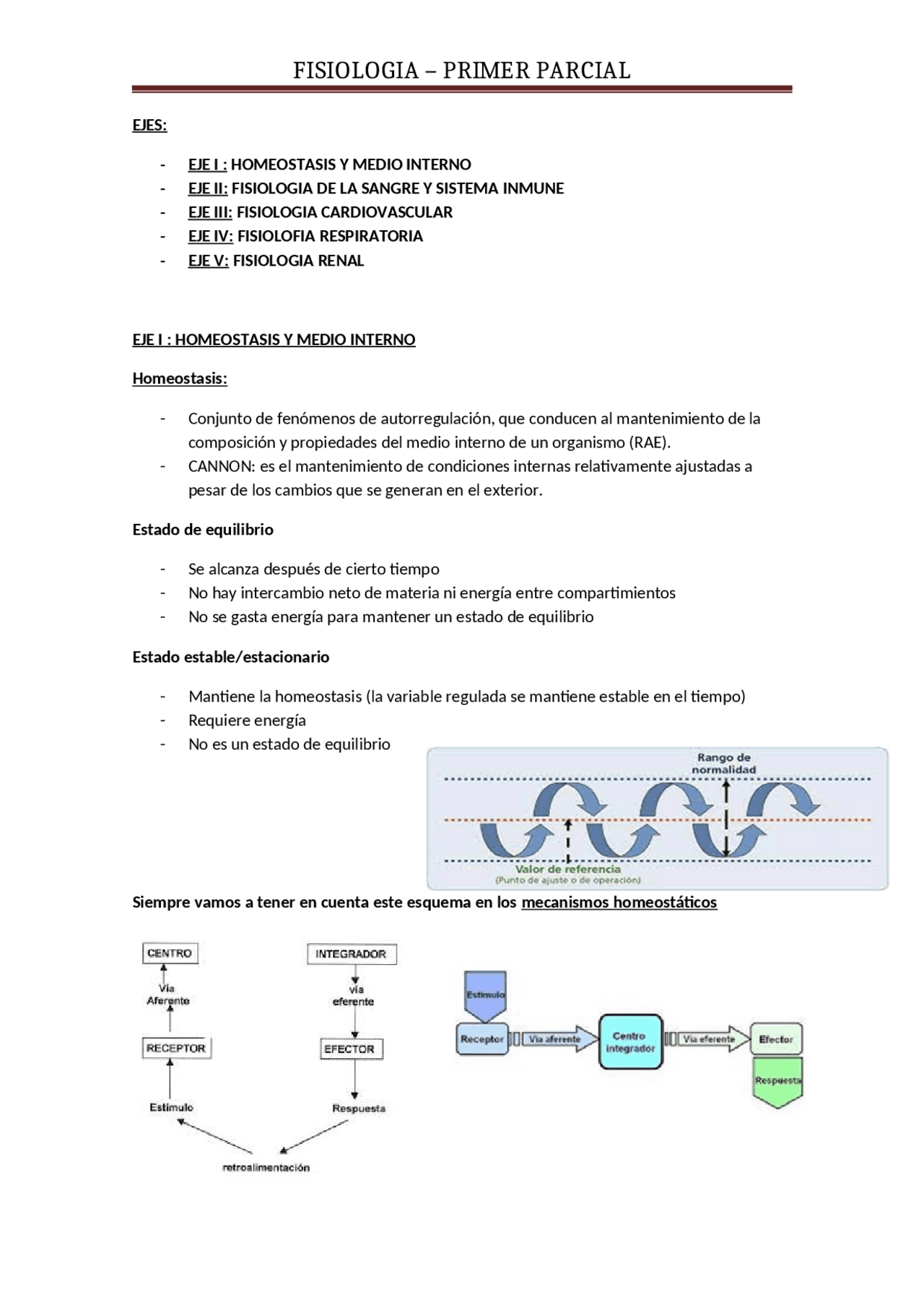 Resumen Guyton Fisiologia Resúmenes De Fisiología Docsity