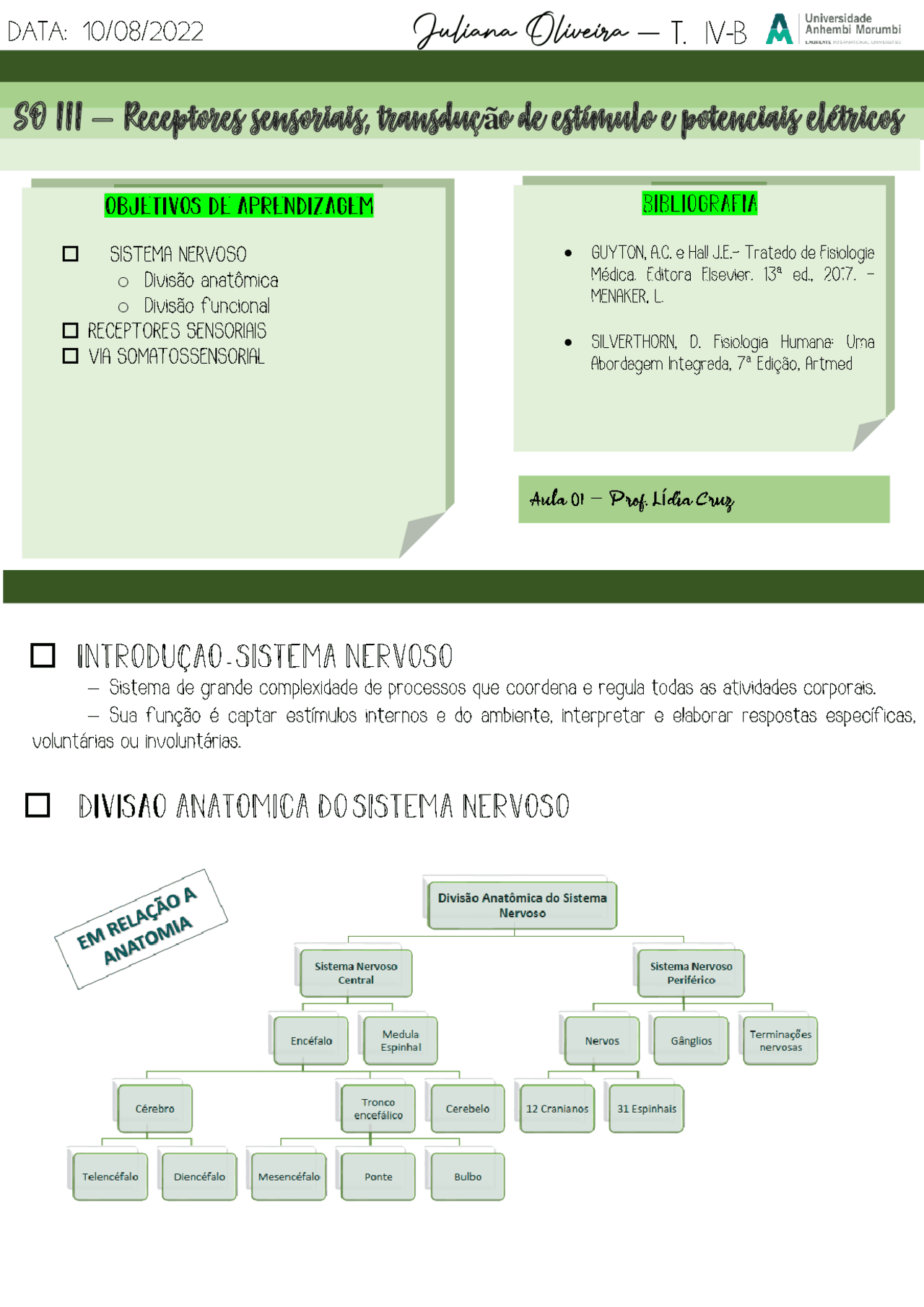 Sistema Nervoso Autonomo Schemi E Mappe Concettuali Fisiologia Umana