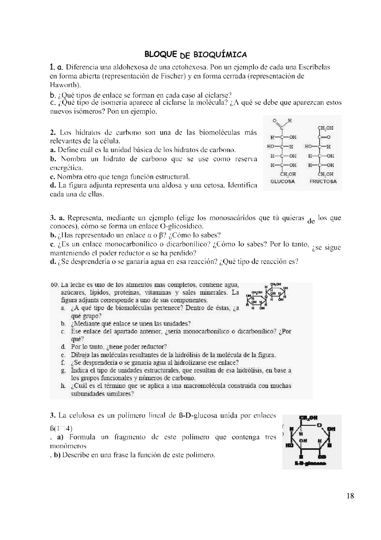 Ejercicios De GlÚcidos Ebau Exámenes Selectividad De Biología Docsity