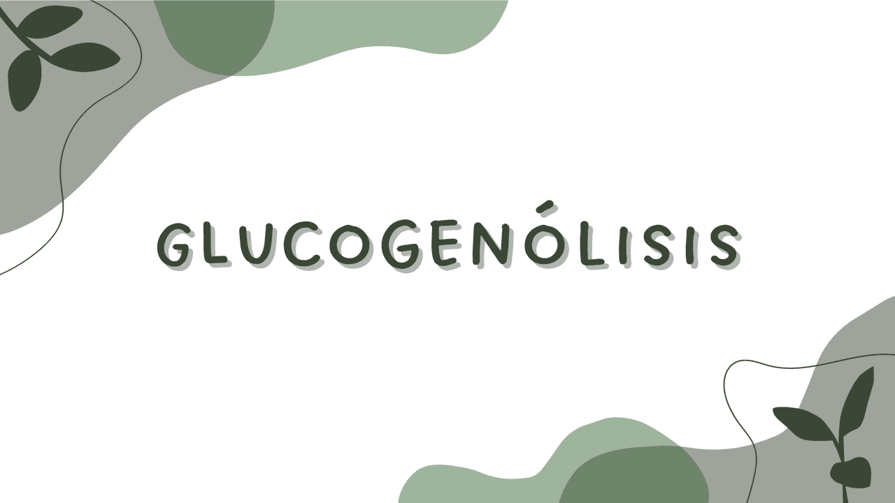 Glucogenólisis - ruta | Diapositivas de Bioquímica | Docsity