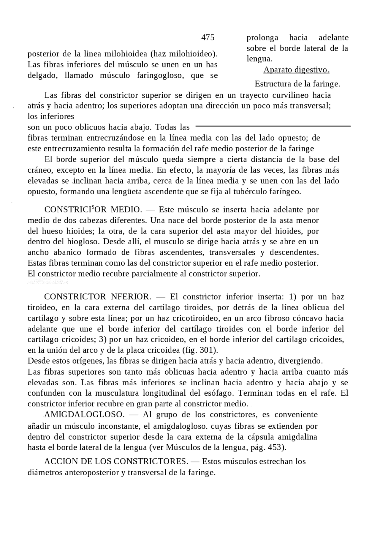 Tiroides De Anatomia Esquemas Y Mapas Conceptuales De Anatomía Docsity