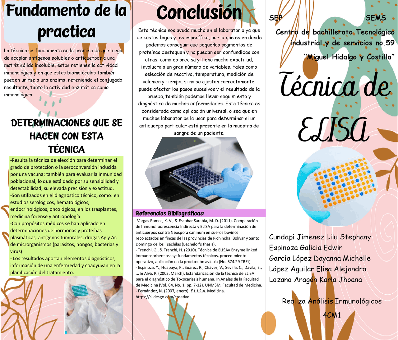 Técnica de Elisa, una de las más usadas en un laboratorio | Esquemas y mapas conceptuales de ...