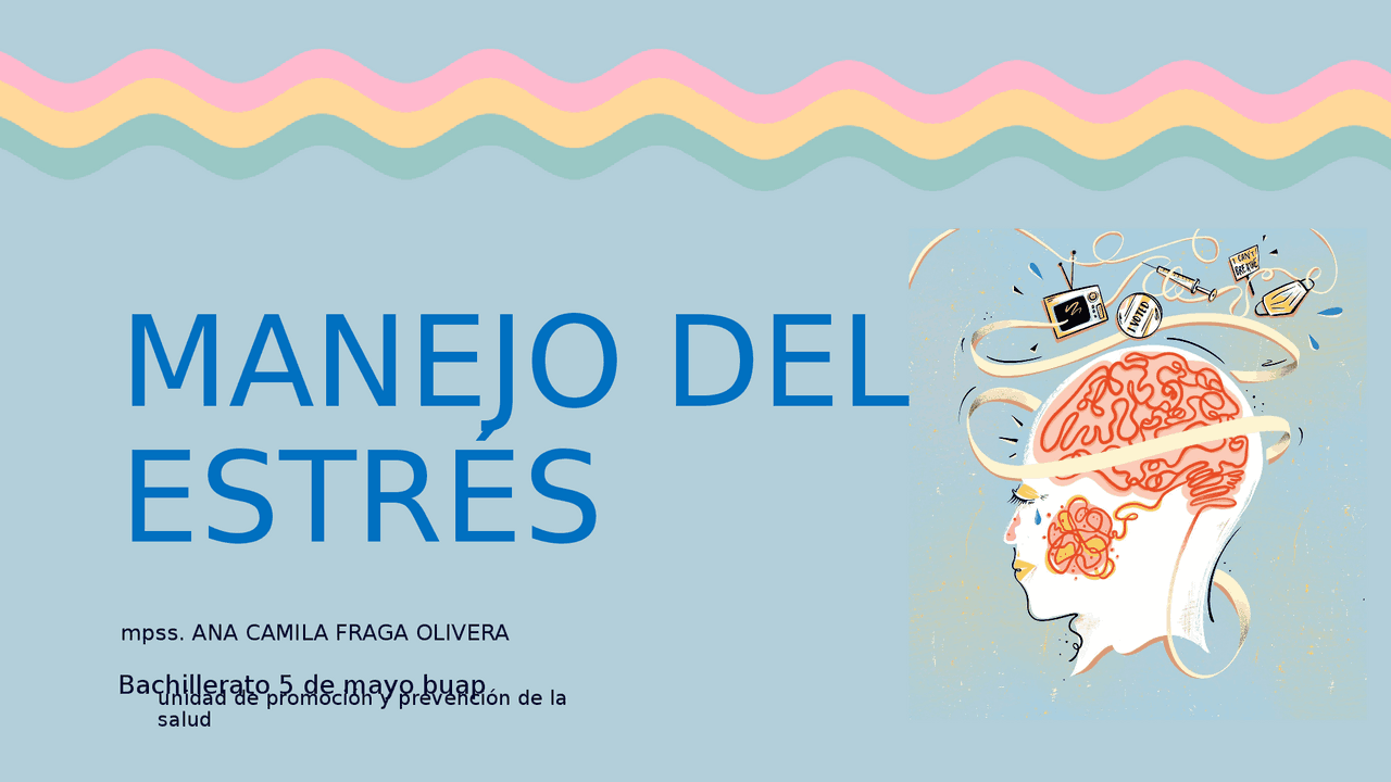 Diapositivas para el manejo inicial del estrés | Diapositivas de ...