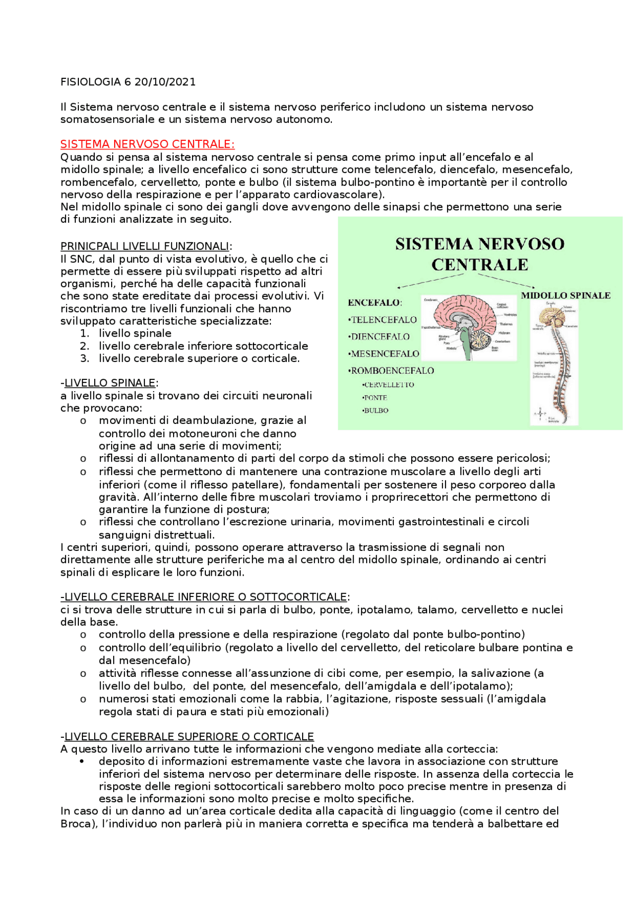 Lezione 6 Di 20 Sistema Nervoso Appunti Di Fisiologia Umana Docsity