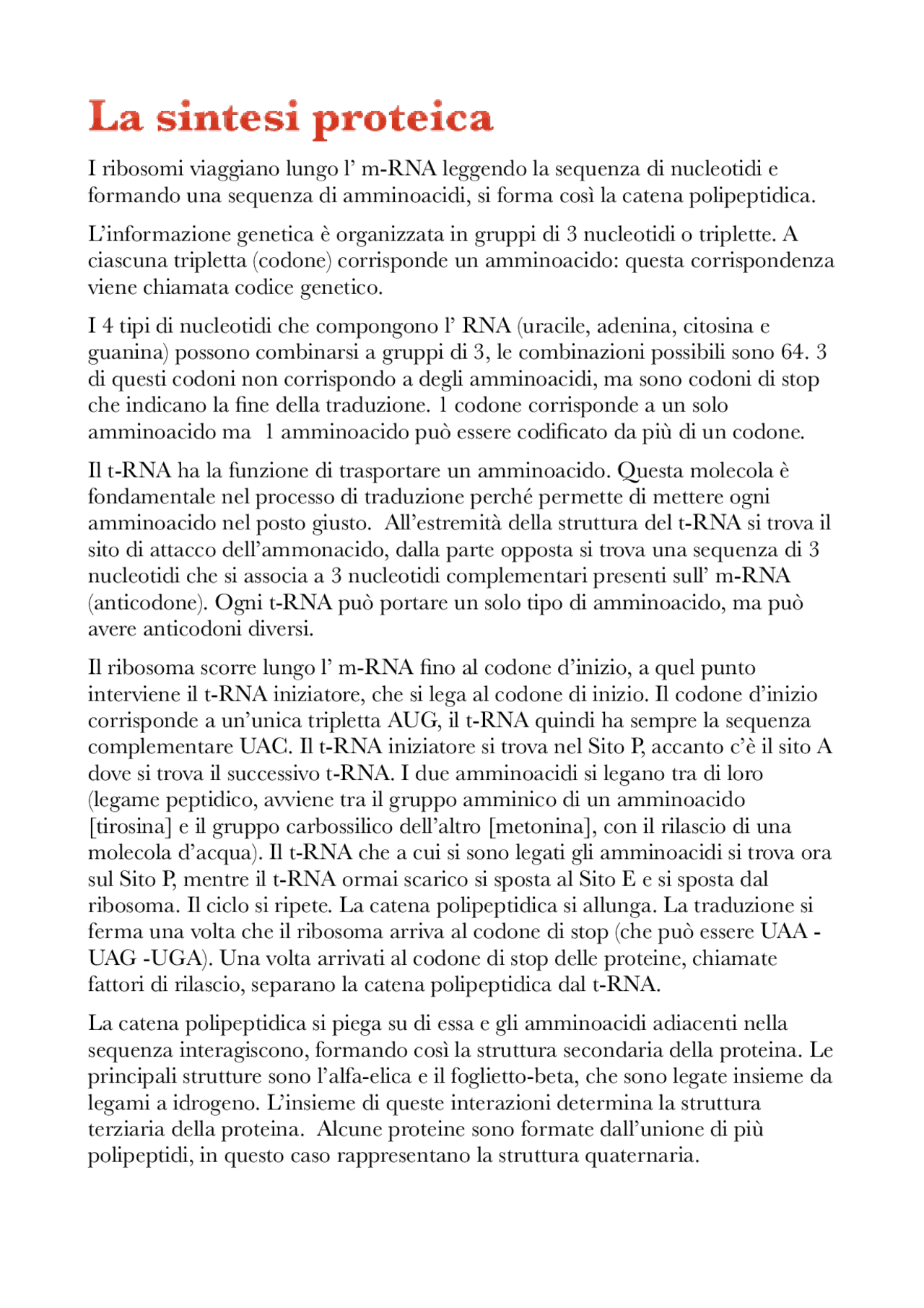La Sintesi Proteica Semplice Appunti Di Scienze Umane Docsity