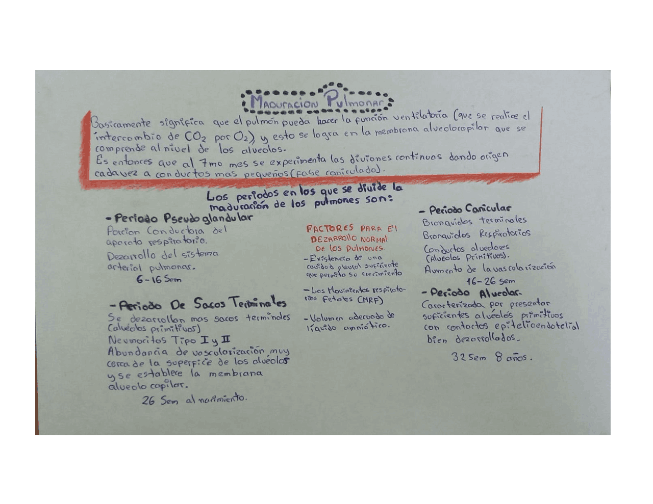 Elaboración De Mapas Conceptuales Acerca De Embriologia Esquemas Y