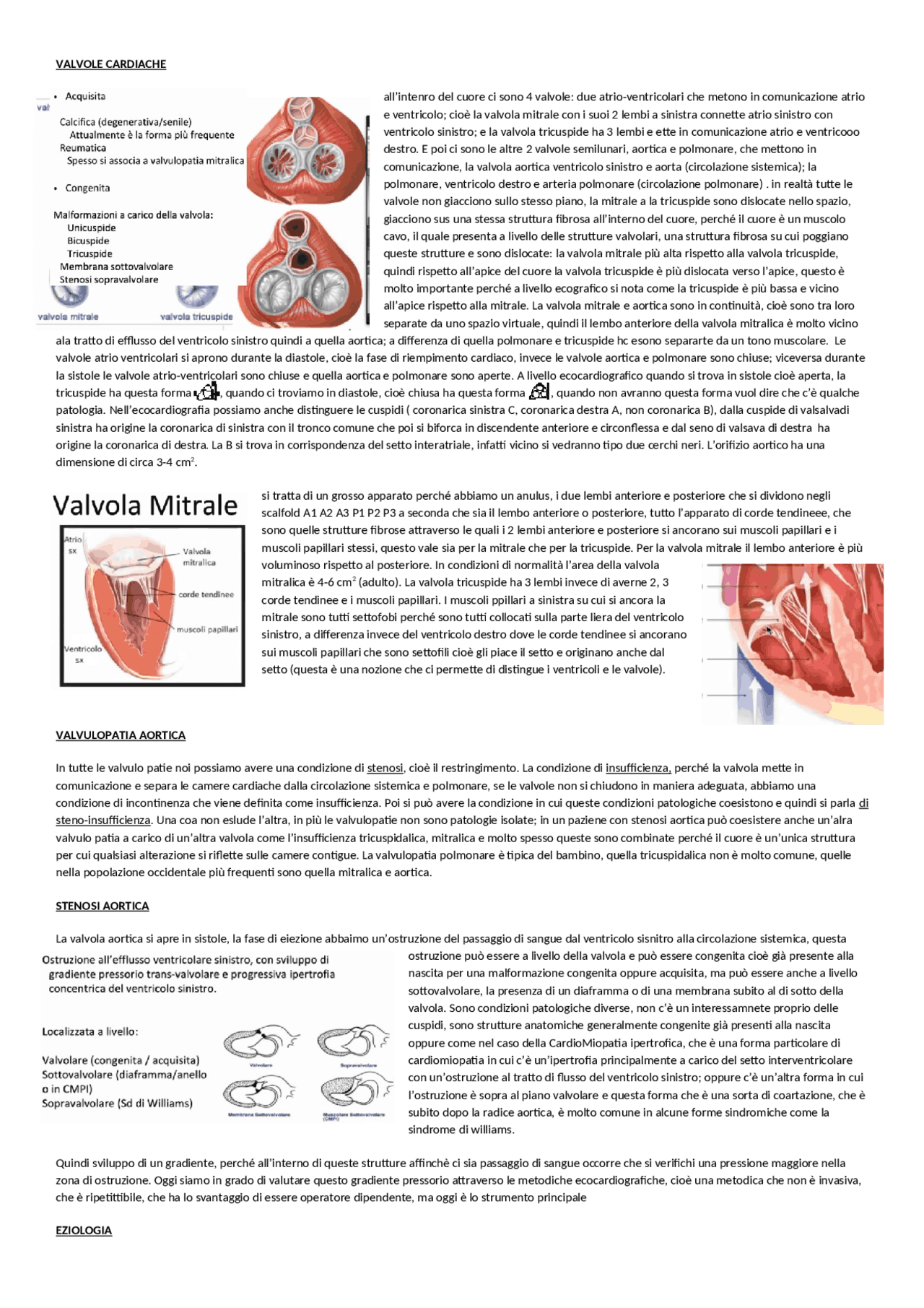 Valvole cardiache anatomia, fisiologia e malattie valvolari | Dispense ...