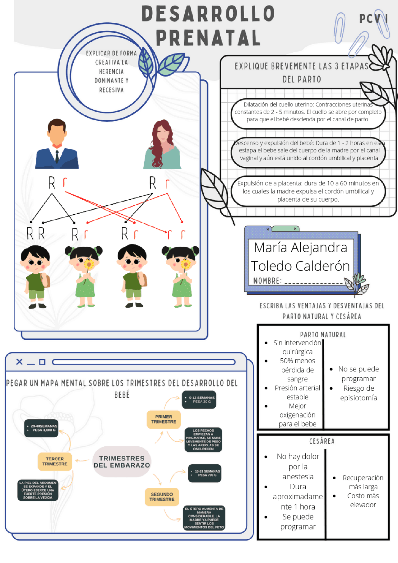 Proceso de Parto: Dilatación, Descenso y Expulsión del Bebe | Esquemas ...