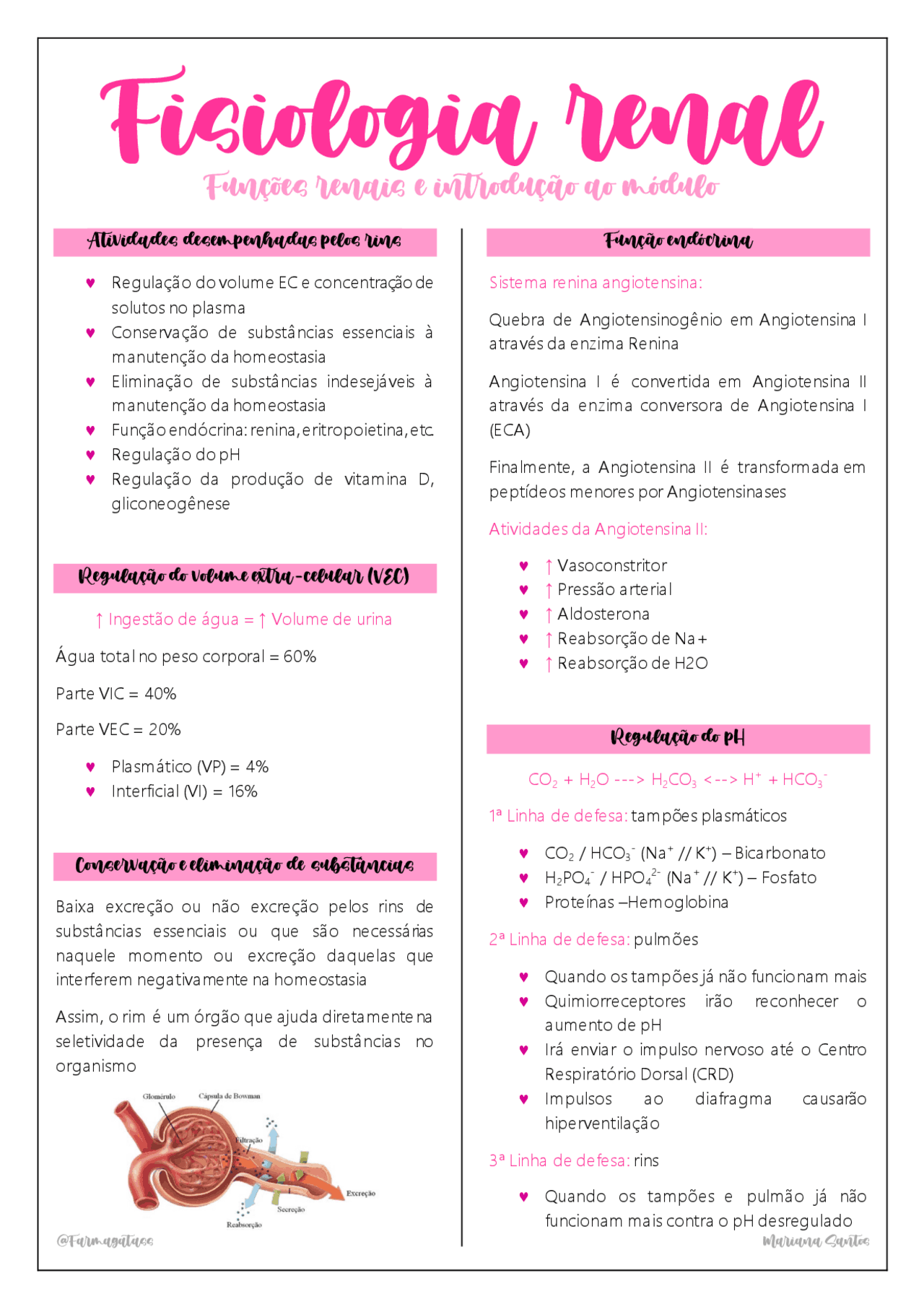 Fisiologia renal - Função renal | Notas de estudo Fisiologia | Docsity