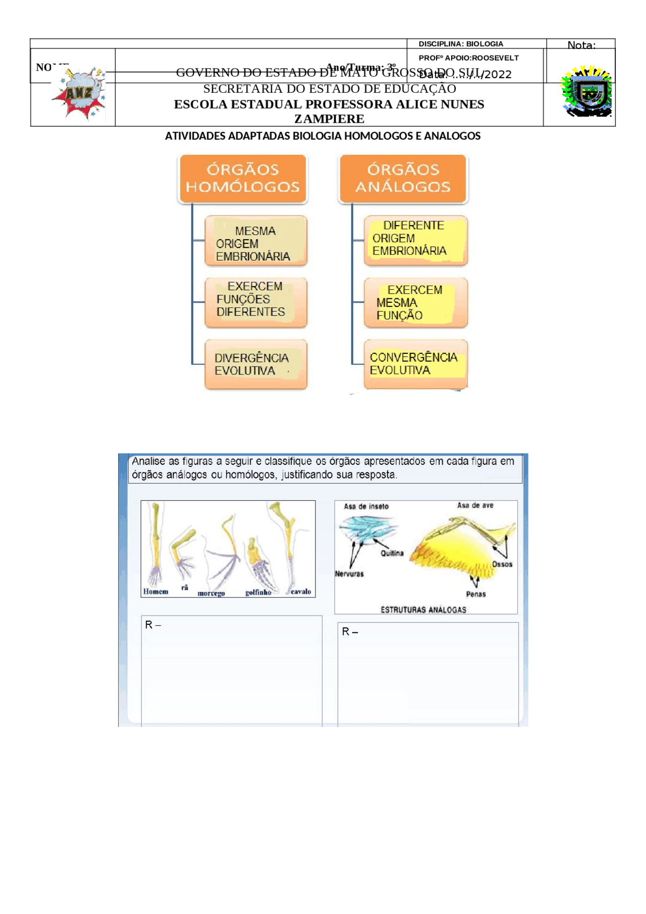 Atividades Adaptadas Resumos Biologia Docsity