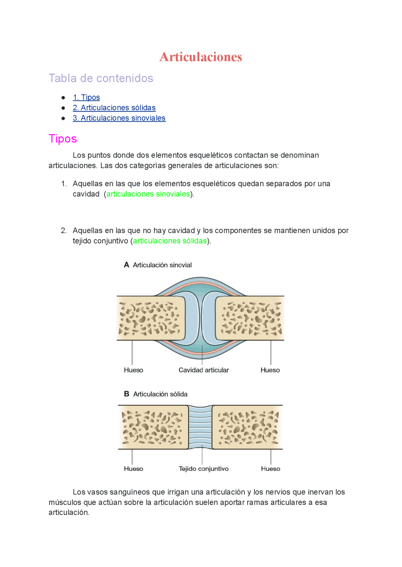 Las Articulaciones Tipos Y Funciones Apuntes De Anatomía Aplicada