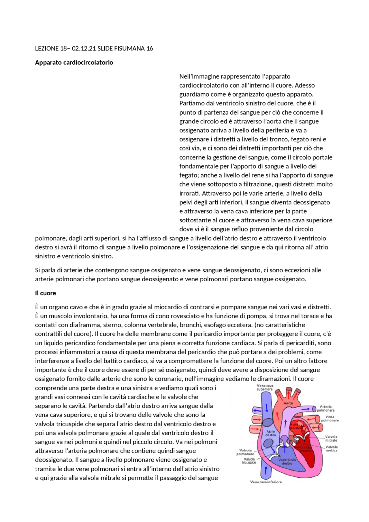 Lezione 18 Di 20 Apparato Cardiocircolatorio Appunti Di Fisiologia