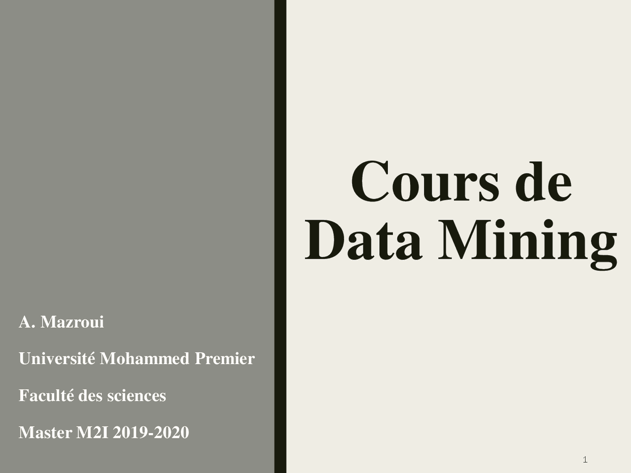 Coursdataminingm2i20192020 Summaries French Language Docsity