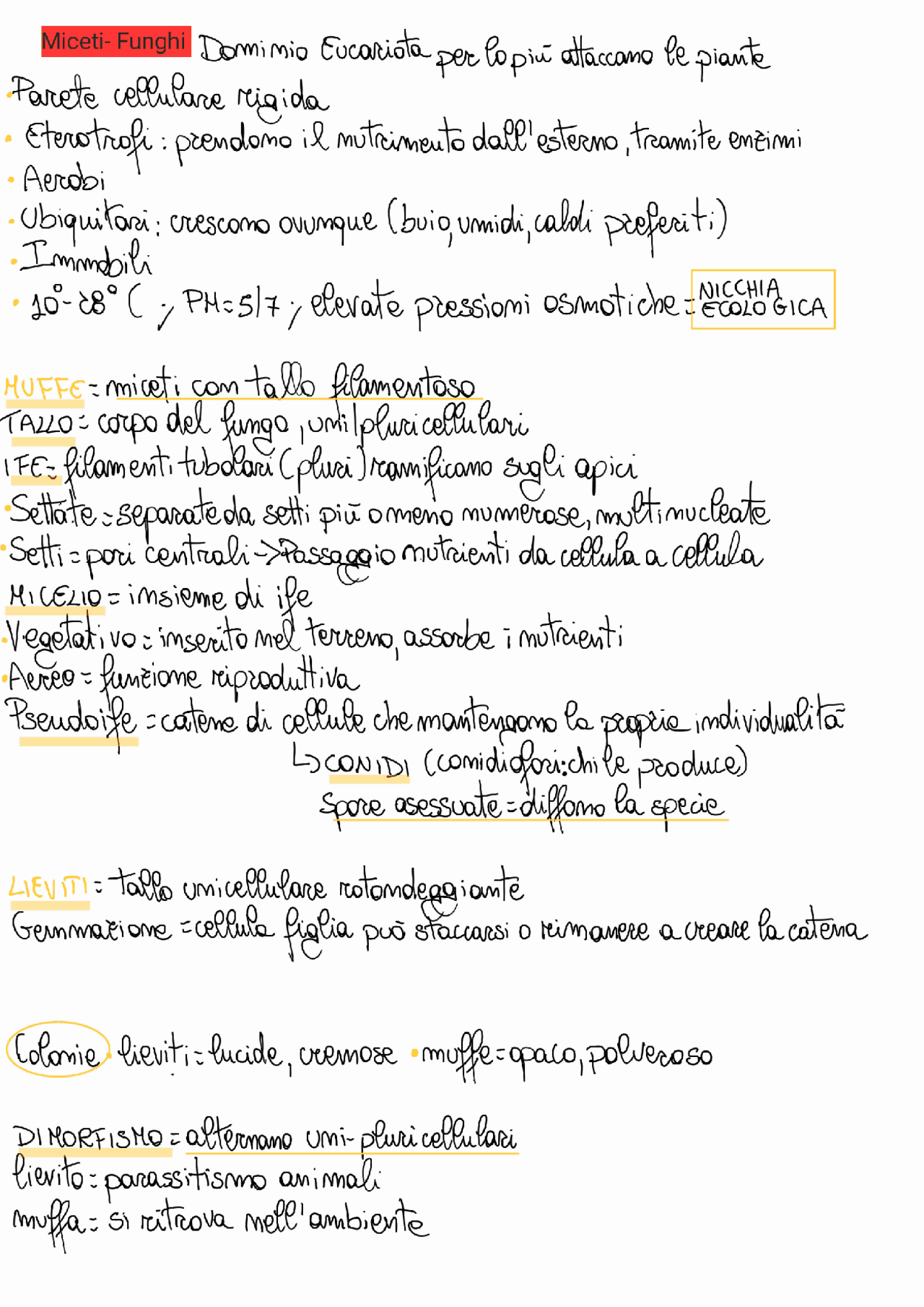 Microbiologia Miceti Funghi Schemi E Mappe Concettuali Di