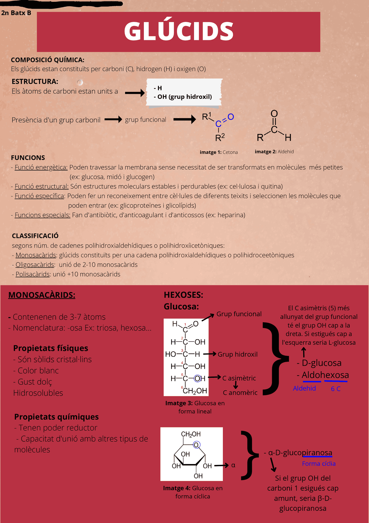 Esquema Dels Glúcids Esquemas Y Mapas Conceptuales De Biología Docsity