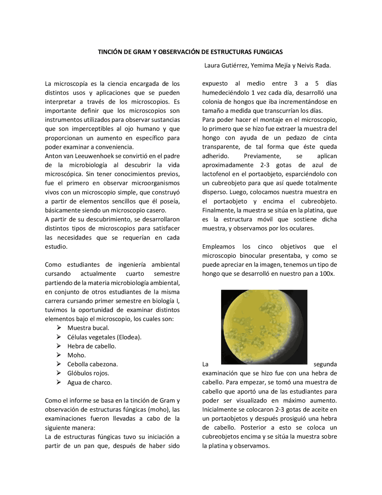 Artículo De Laboratorio Monografías Ensayos De Microbiología Docsity