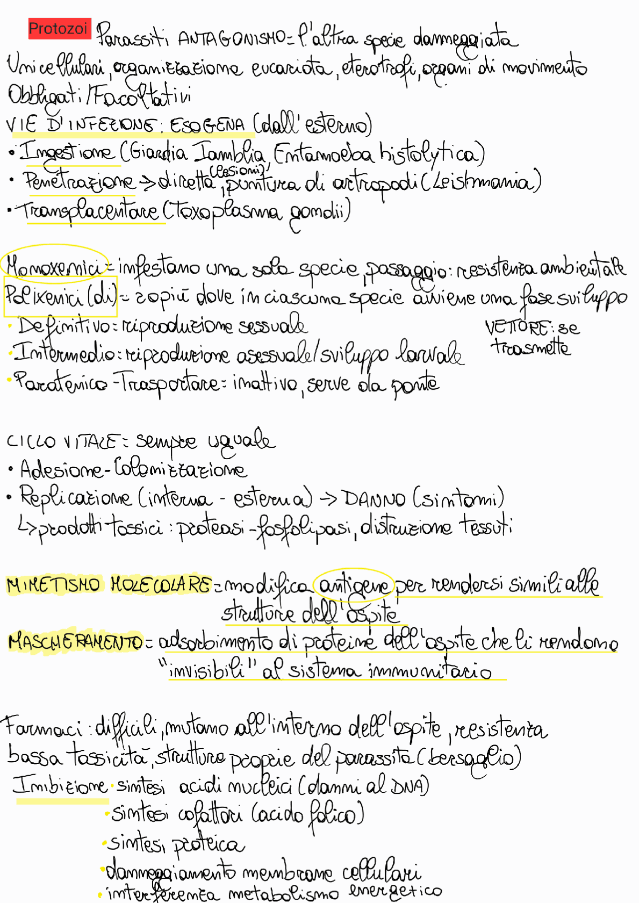 Microbiologia Protozoi Schemi E Mappe Concettuali Di Microbiologia