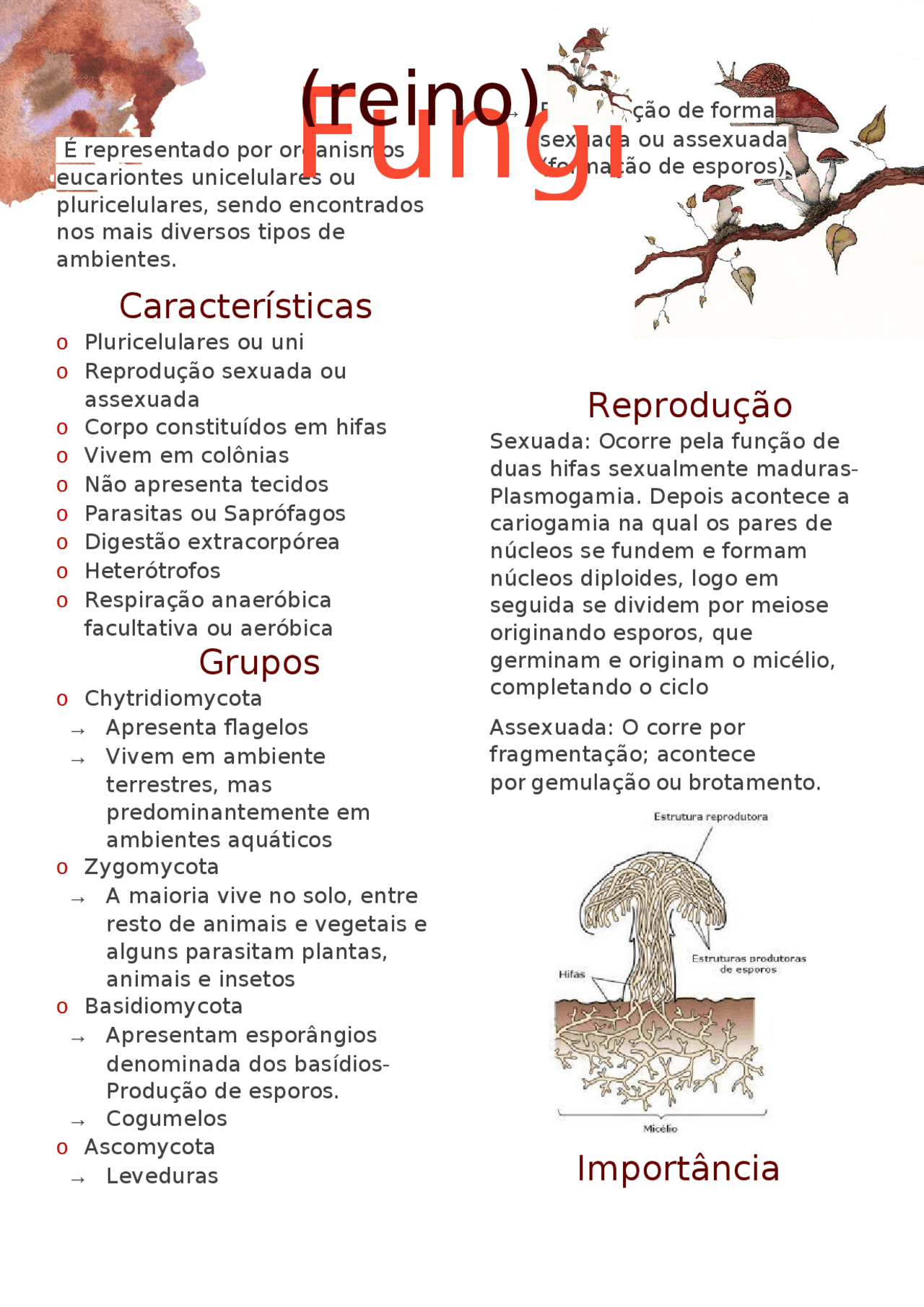 Reino Fungi- Biologia | Esquemas Biologia | Docsity
