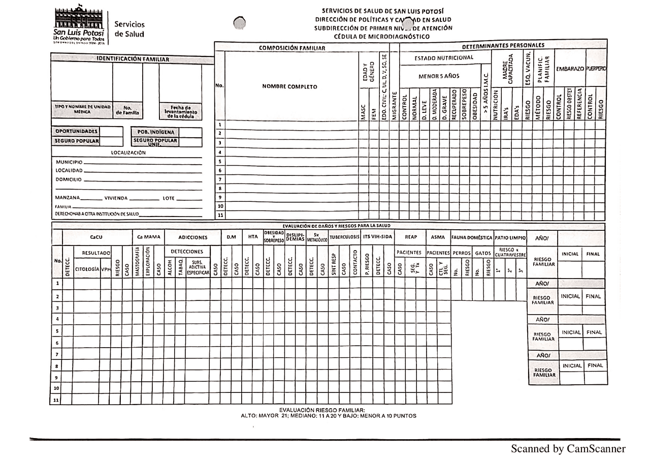 Cedula de microdiagnostico poblacional | Monografías, Ensayos de ...