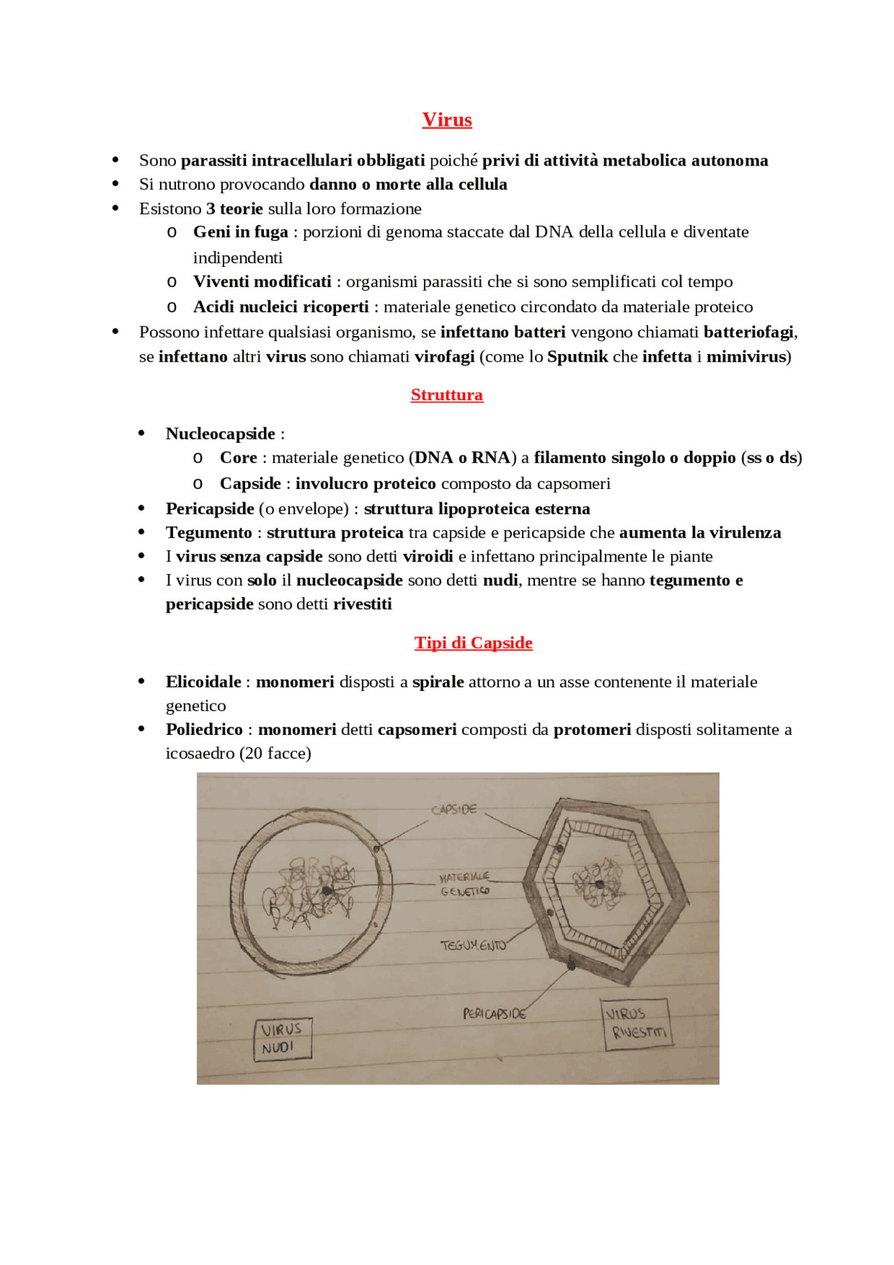 I Virus E Le Patologie Virali Schemi E Mappe Concettuali Di Biologia
