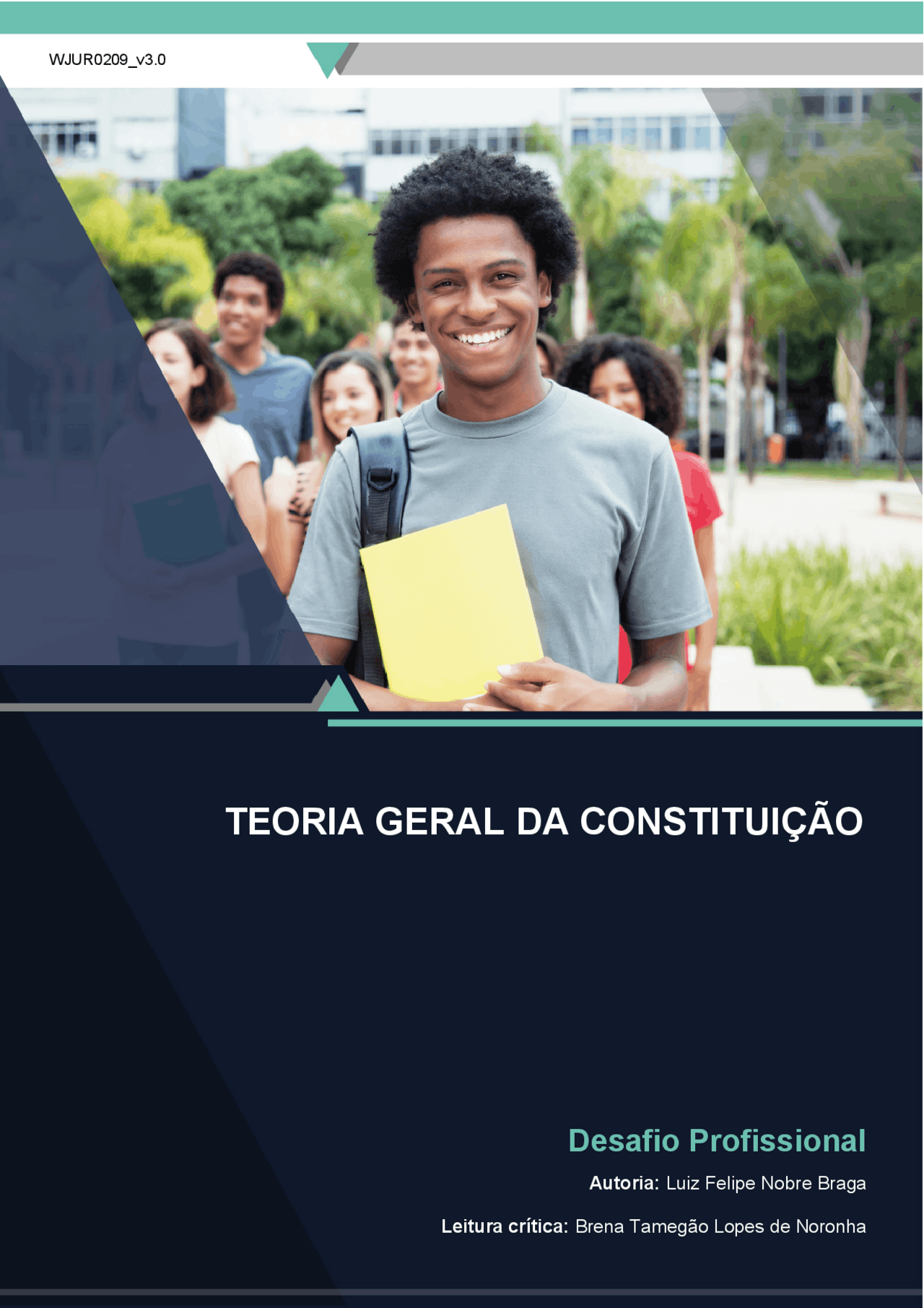 Ebook Para Aprofundamento Teorico Resumos Direito Constitucional